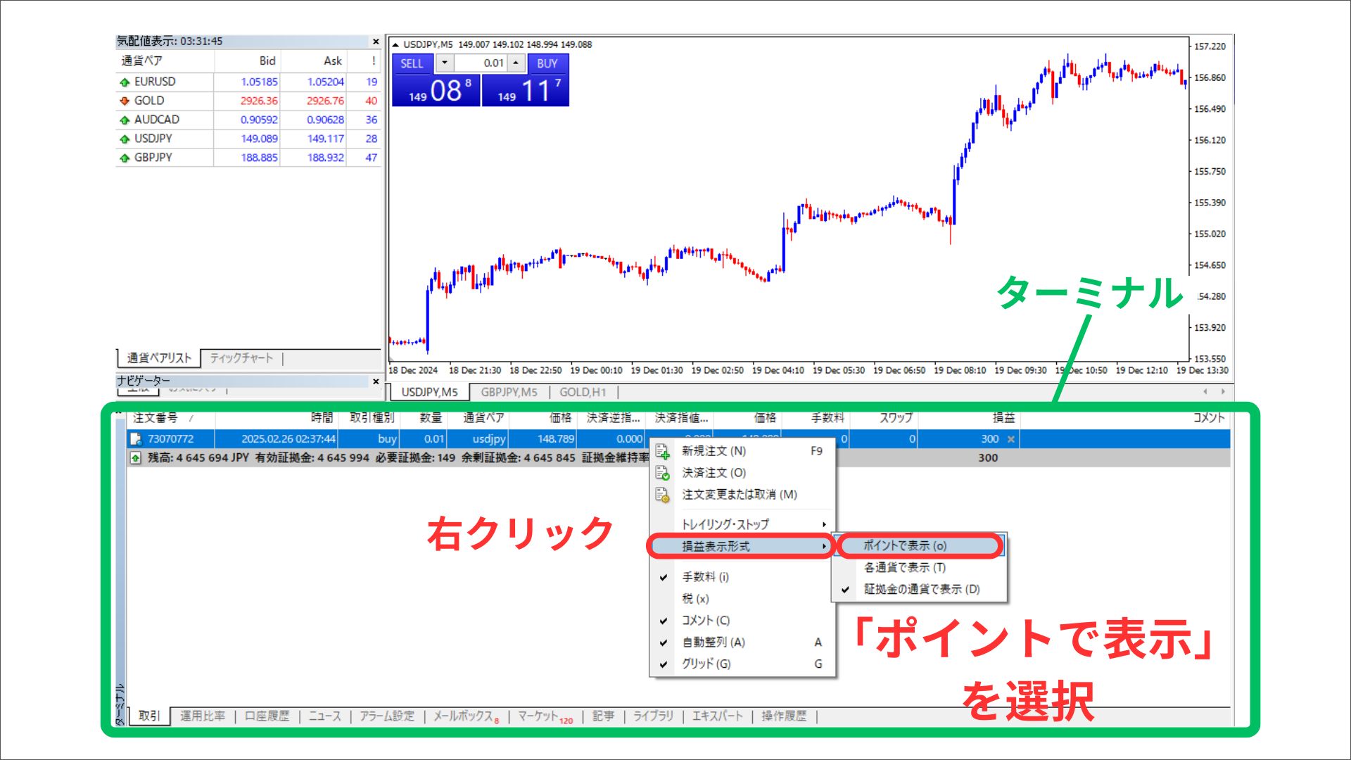 【MT4】簡単なpipsの測り方を解説！バーを表示するインジケータも紹介！